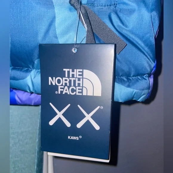 The NorthFace X Kaws Collab 96 nuptse Jacket